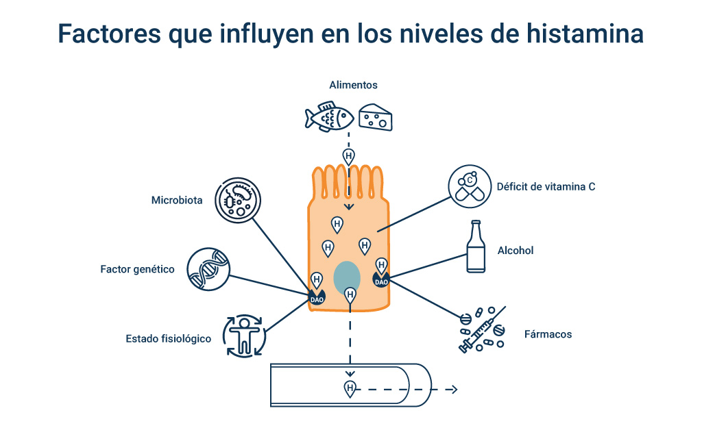 ¿Qué es la histamina? Alimentos con y sin ella - Nutribiótica